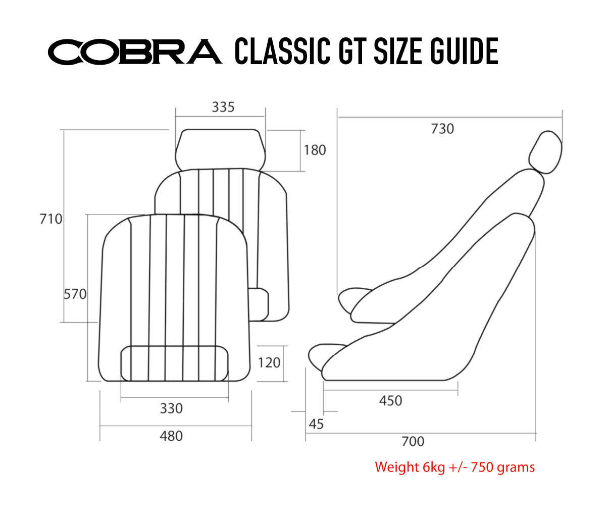 Buy Cobra Classic GT Forty Seat | Demon Tweeks