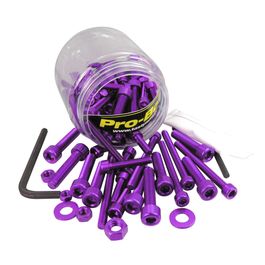 Buy Pro-Bolt 100pc Alloy Workshop Tub - Allen Bolt Kit | Demon Tweeks