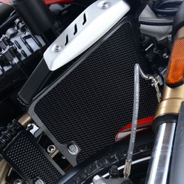 Buy R&G Racing Radiator Guard - Aluminium - RAD0202BK | Demon Tweeks