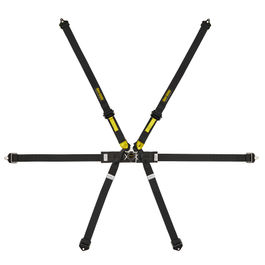 Buy Race Safety Accessories Pro 6 Point Single Seater Harness | Demon ...