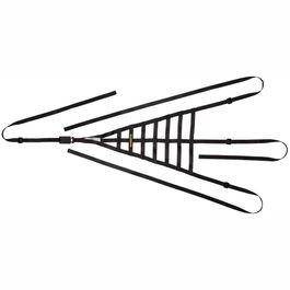 Buy Schroth Roll Cage Net - 09072 | Demon Tweeks