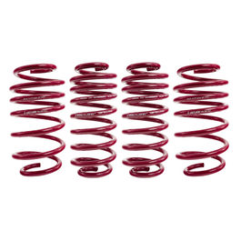 Buy Vogtland Sport Lowering Springs - 950701 | Demon Tweeks