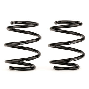 Shop Eibach Lowering Springs at Demon Tweeks
